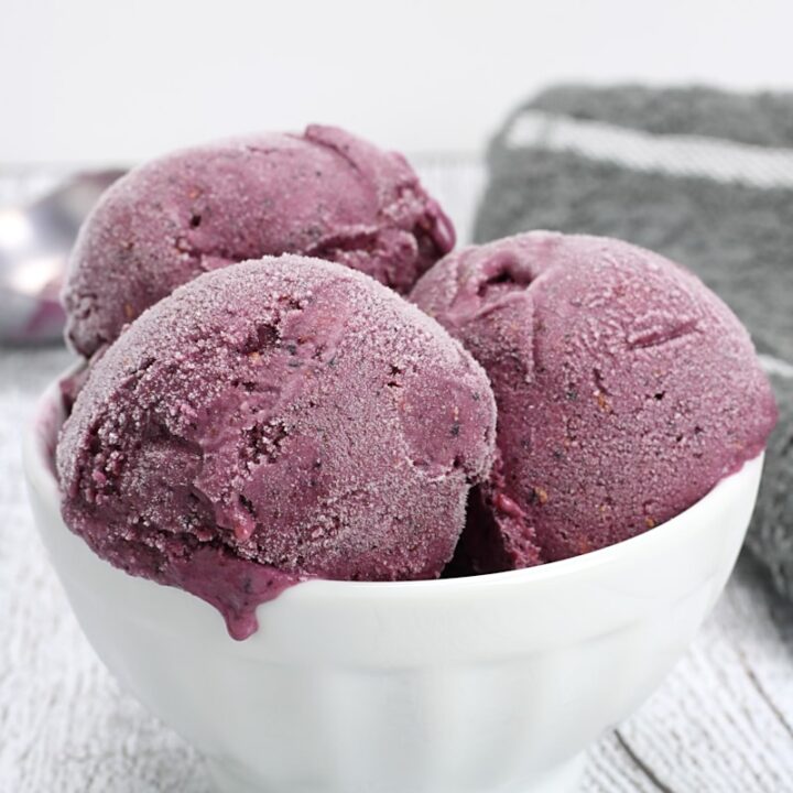 Mixed Berry Sherbet - The Toasty Kitchen