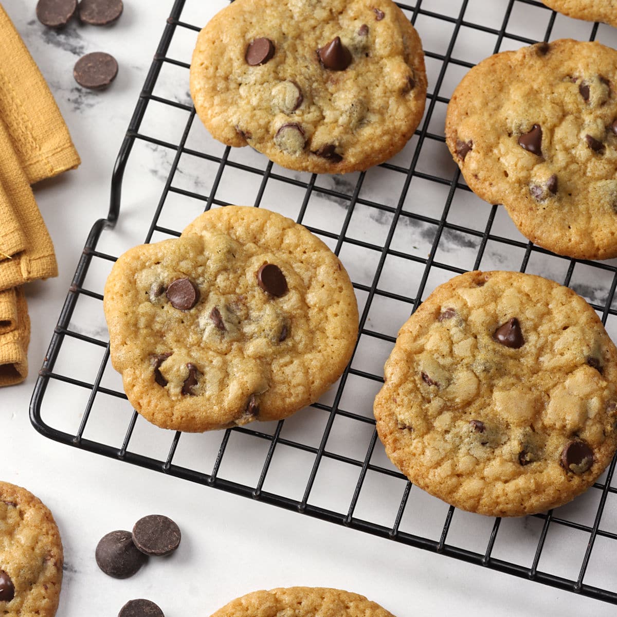 Chewy Chocolate Chip Cookies - The Toasty Kitchen