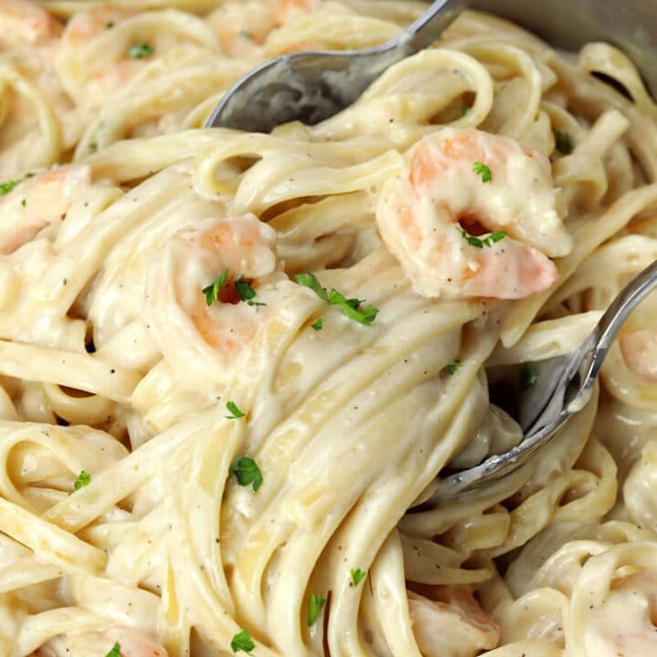 Turkey Alfredo - The Toasty Kitchen