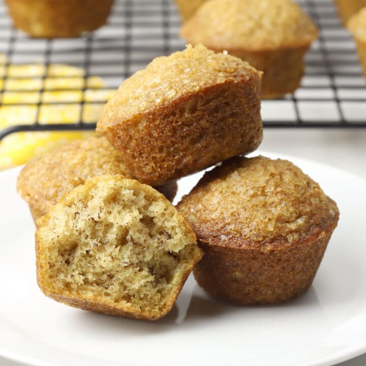 Chocolate Chip Mini Muffins - The Toasty Kitchen