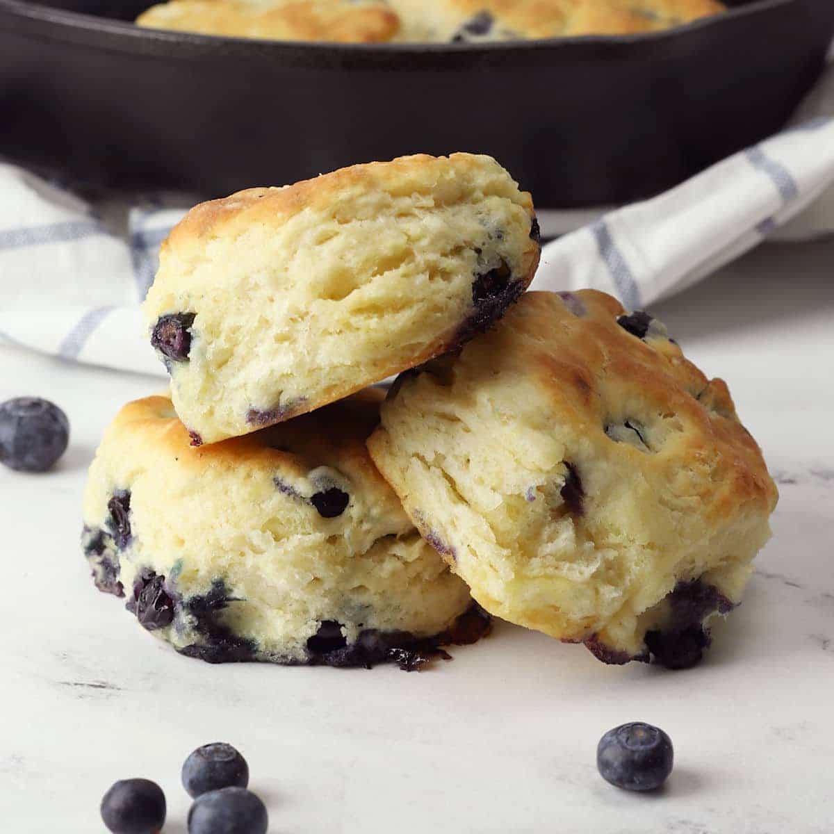 Blueberry Biscuits - The Toasty Kitchen