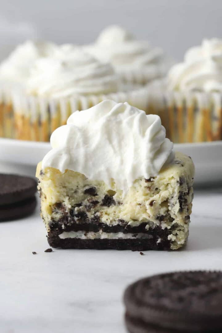 Mini Oreo Cheesecakes - The Toasty Kitchen