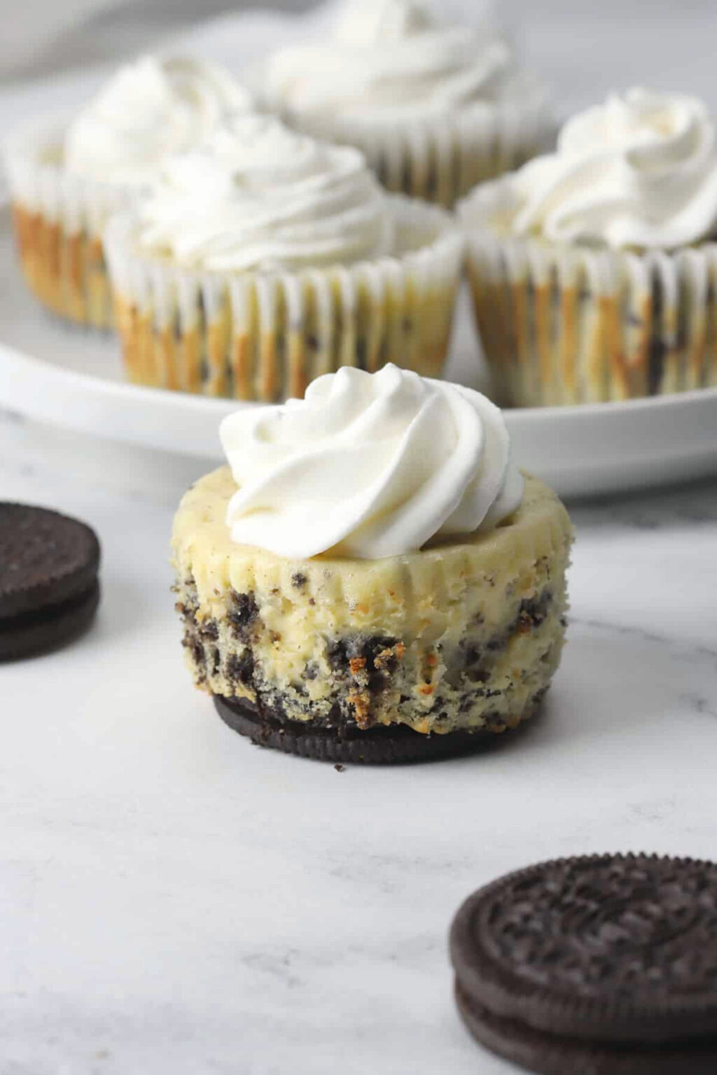 Mini Oreo Cheesecakes - The Toasty Kitchen