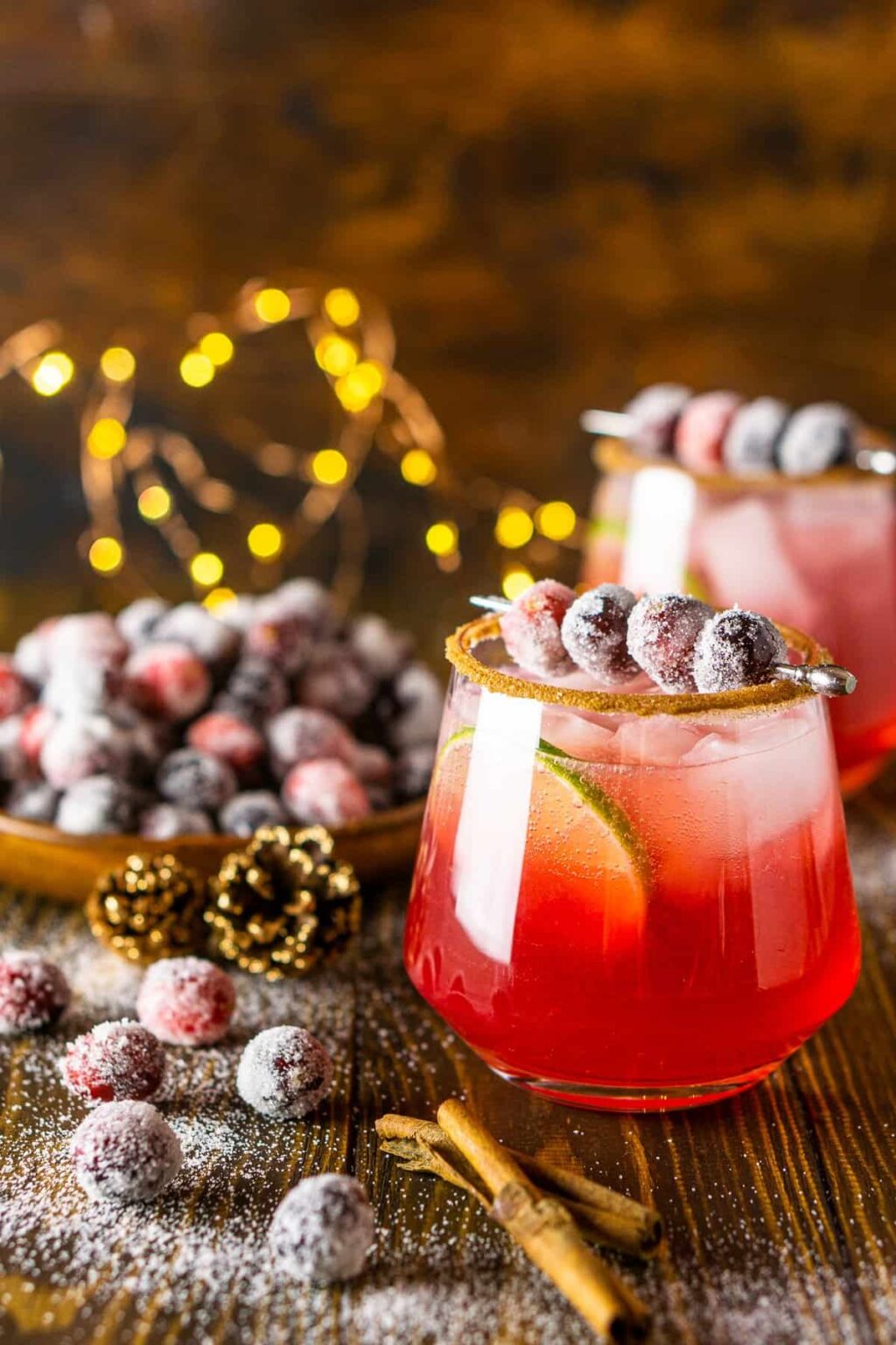 25 Ginger Ale Cocktails - The Toasty Kitchen