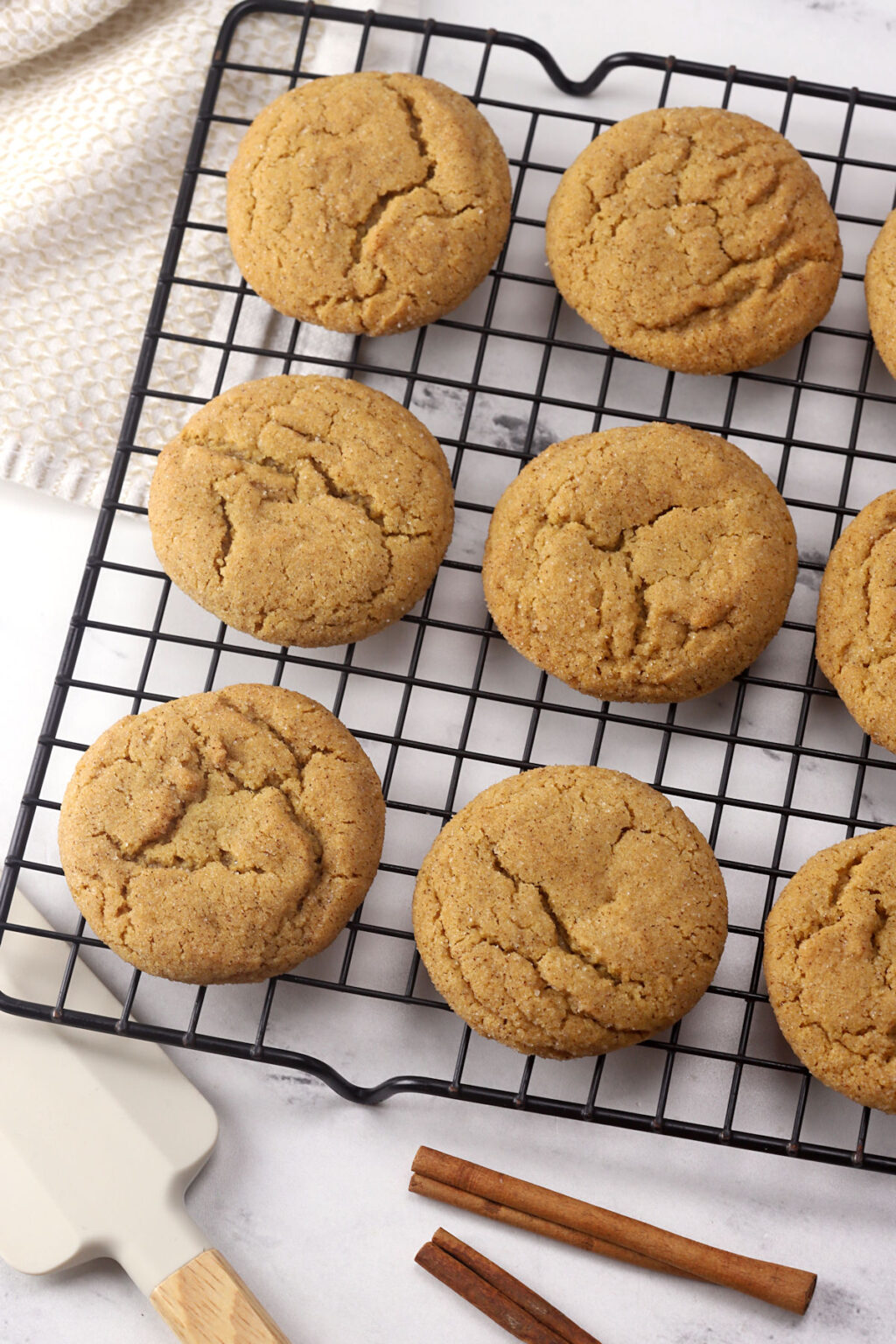 Sorghum Spice Cookies - The Toasty Kitchen
