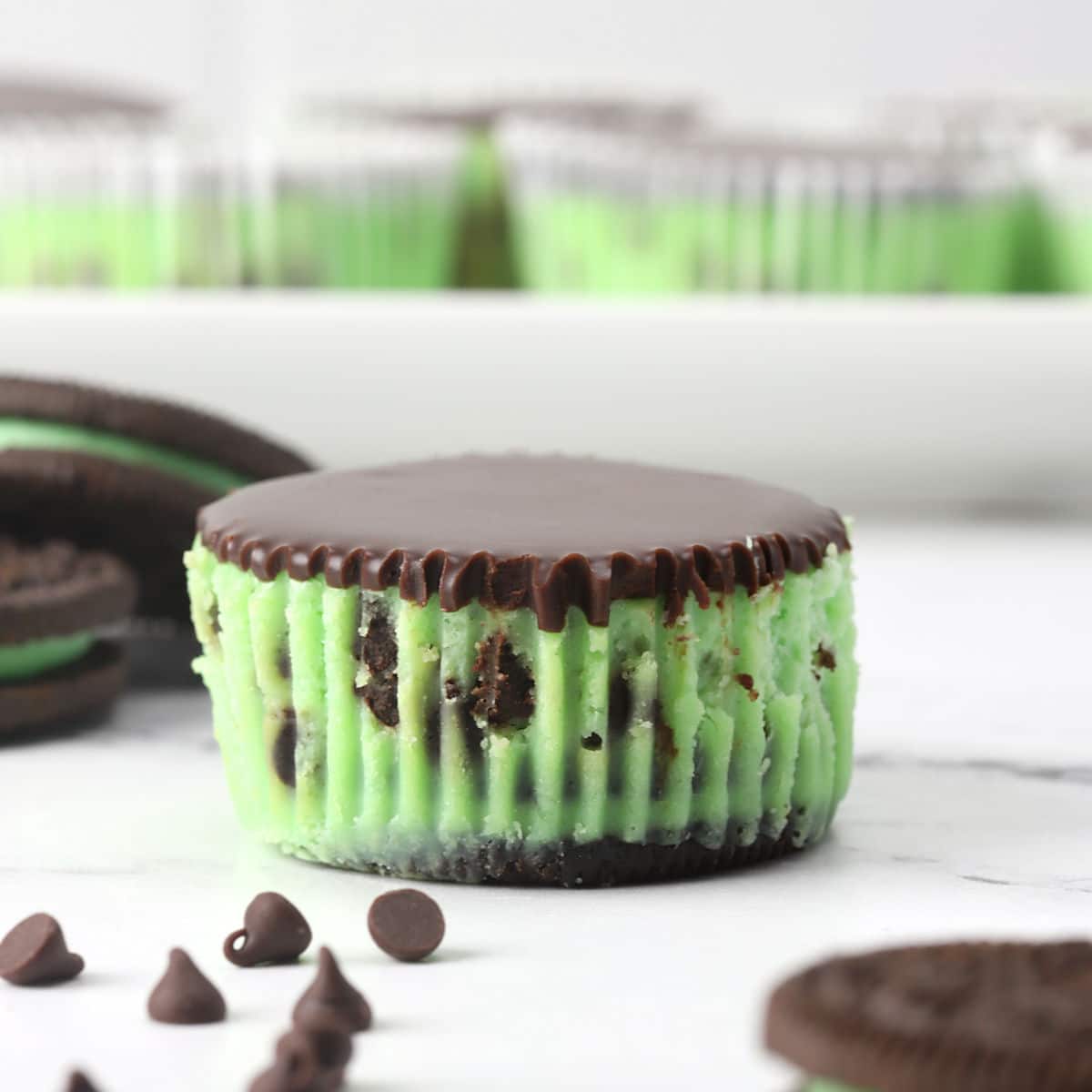 Mint Chocolate Chip Mini Cheesecakes - The Toasty Kitchen