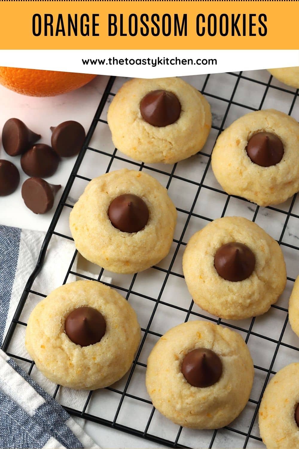 Orange Blossom Cookies - The Toasty Kitchen