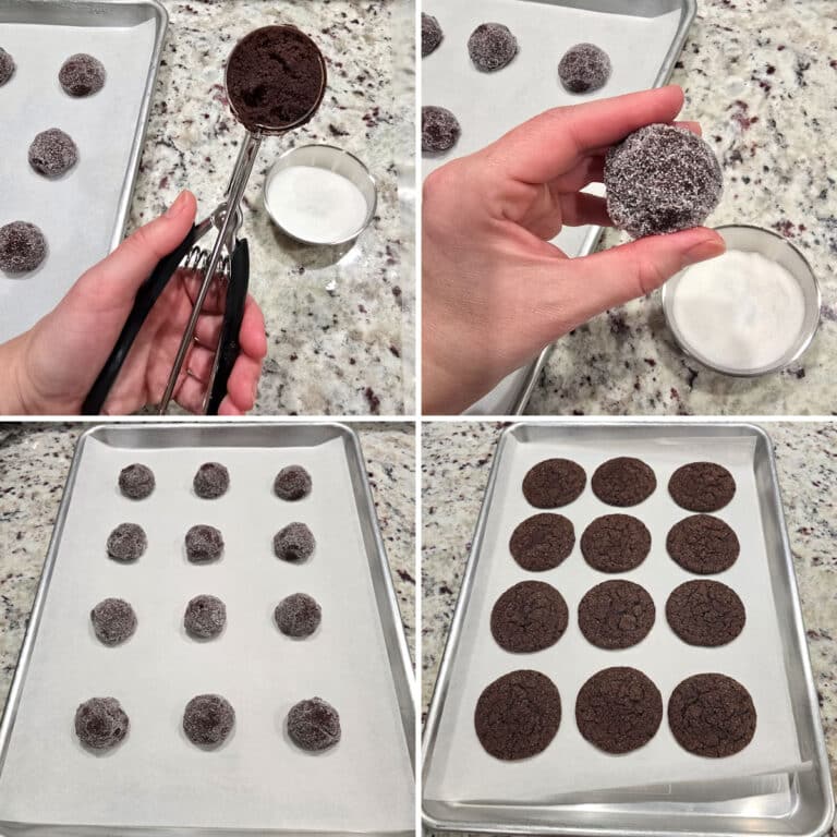 Dutch Cocoa Cookies - The Toasty Kitchen